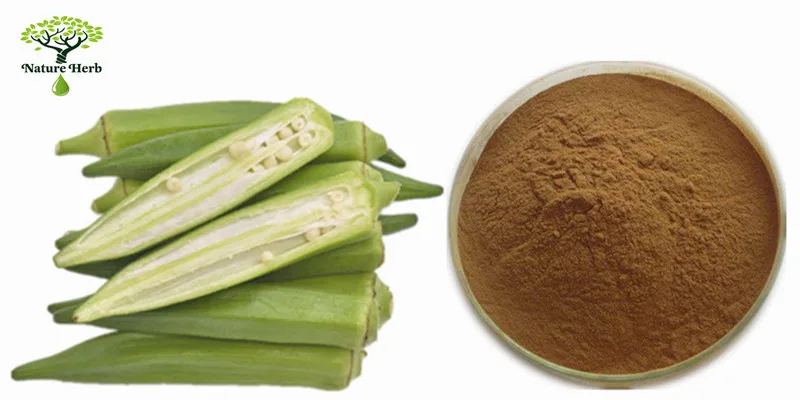Hot Selling Hibiscus Esculentus Extract/powder Okra Extract - Buy ...