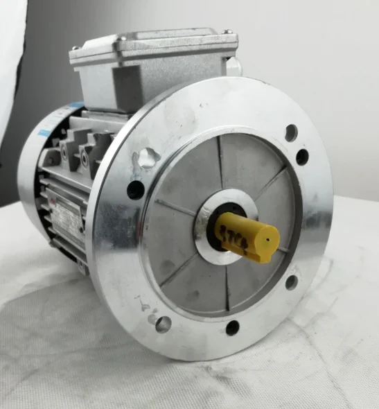 MS 3 Phase Asynchronous Motors - High Efficiency & Durability