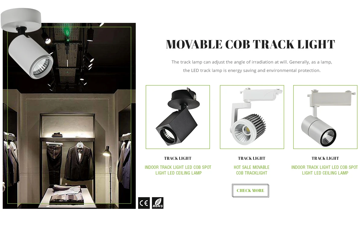 Zhongshan Baron Lighting Co., Ltd. - Down Light, Spot Light