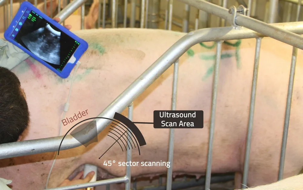 Veterinary MX5 Pocket Scanner - USB Ultrasound Machine