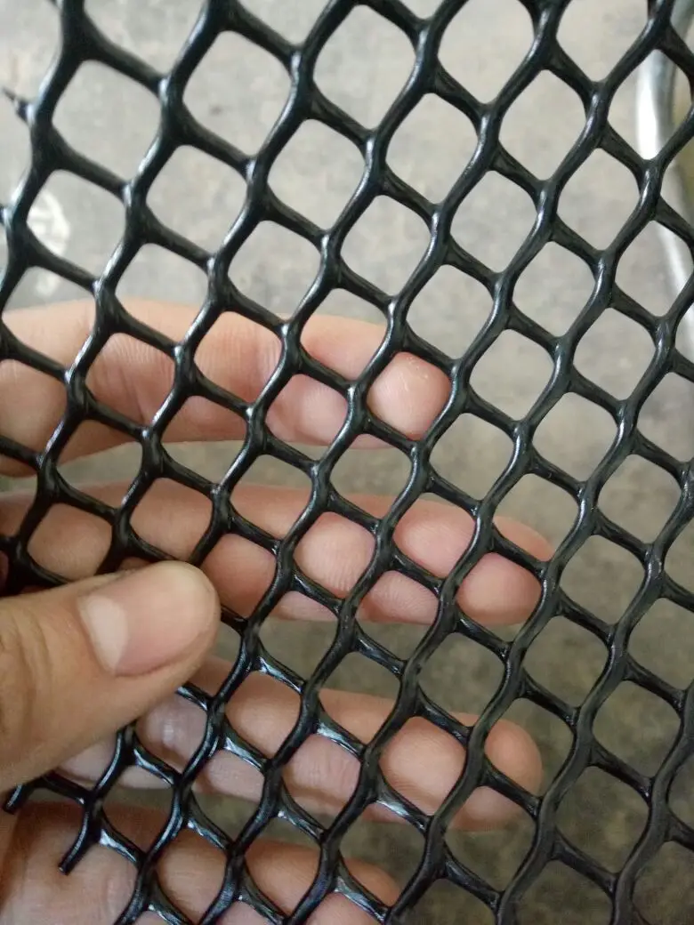 Plastic Plain Netting Manufacture/chicken Net /duck Net - Buy Plastic ...