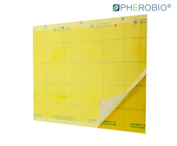 Yellow Sticky Cards For Greenhouse Pest Control - Buy Yellow Stick Card ...