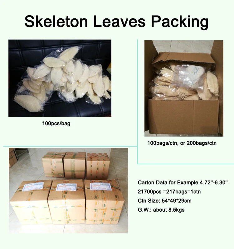 Bodhi Tree Skeleton Leaves - Eco-Friendly Decorative Items