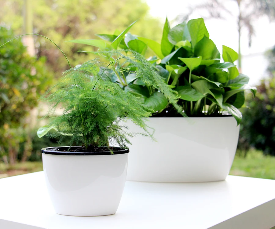 Wholesale OEM Elliptical Shape Flower Pots for Plants