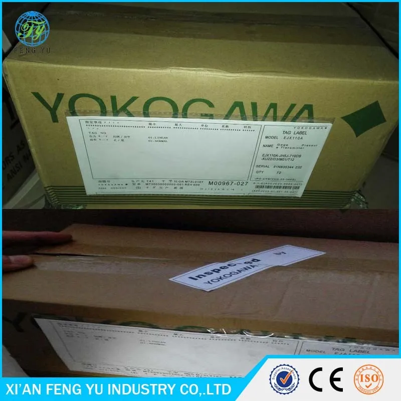 YOKOGAWA EJA118E DP Transmitter with Remote Diaphragm Seals