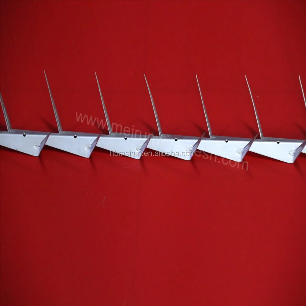 Wall Spike Fence Spike/galvanized Iron Wire/barbed Wire Razor Wire Mesh ...