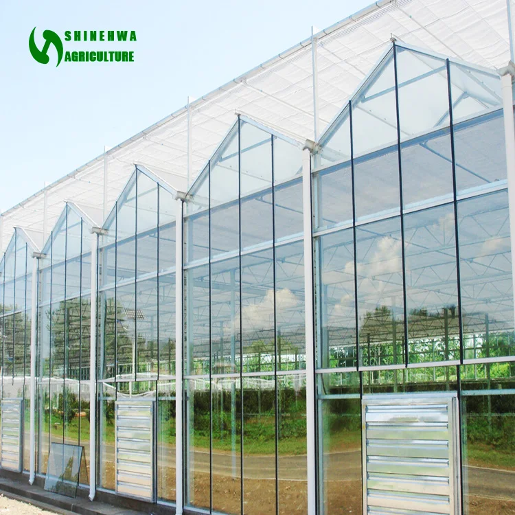 2017 Commercial Agricultural Glass Greenhouse Farm For Sale - Buy Farm ...
