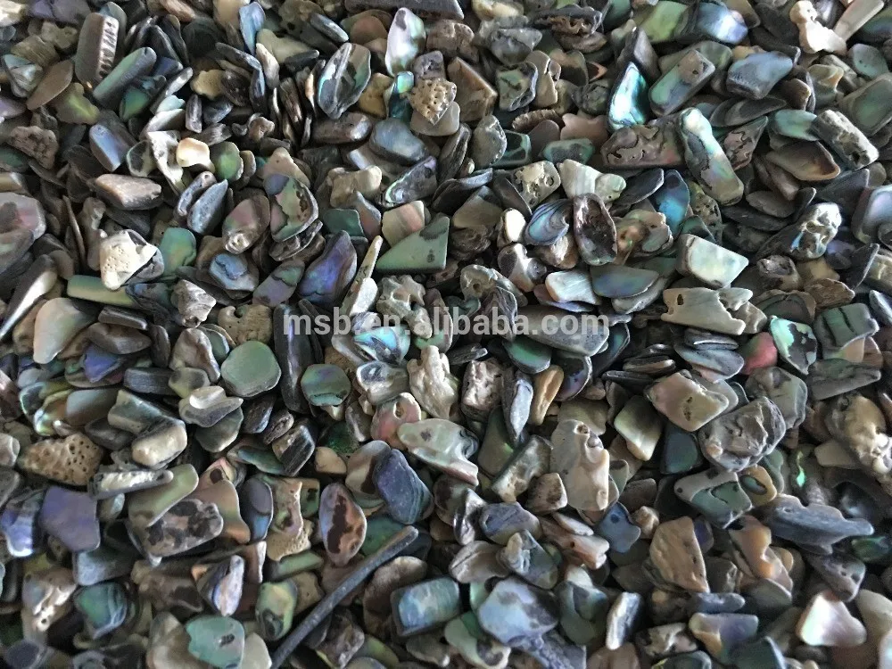 Natural Abalone Paua Crushed Abalone Shell Chips Blanks - Buy Abalone ...