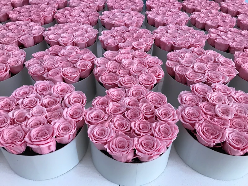 Luxury Preserved Roses - Perfect for Valentines & Mothers Day