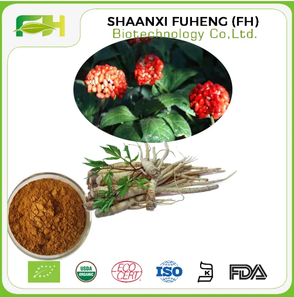 Natural Panax Notoginseng Root Extract,Sanqi Extract Powder,Sanchi ...
