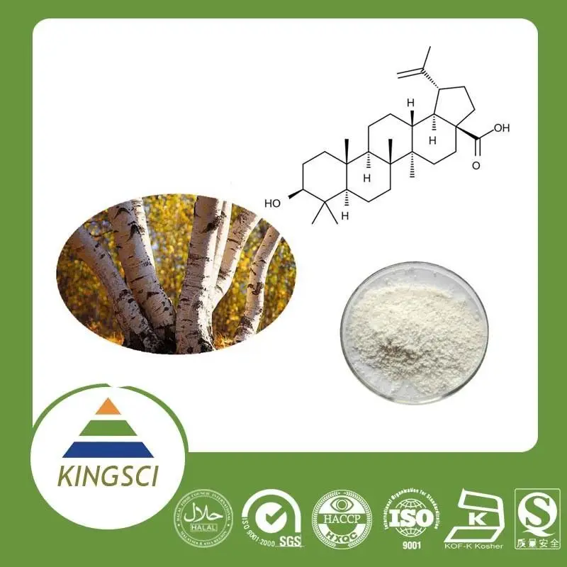 Factory Supply Natural White Birch Bark Extract 10% - 98% Betulin Food ...