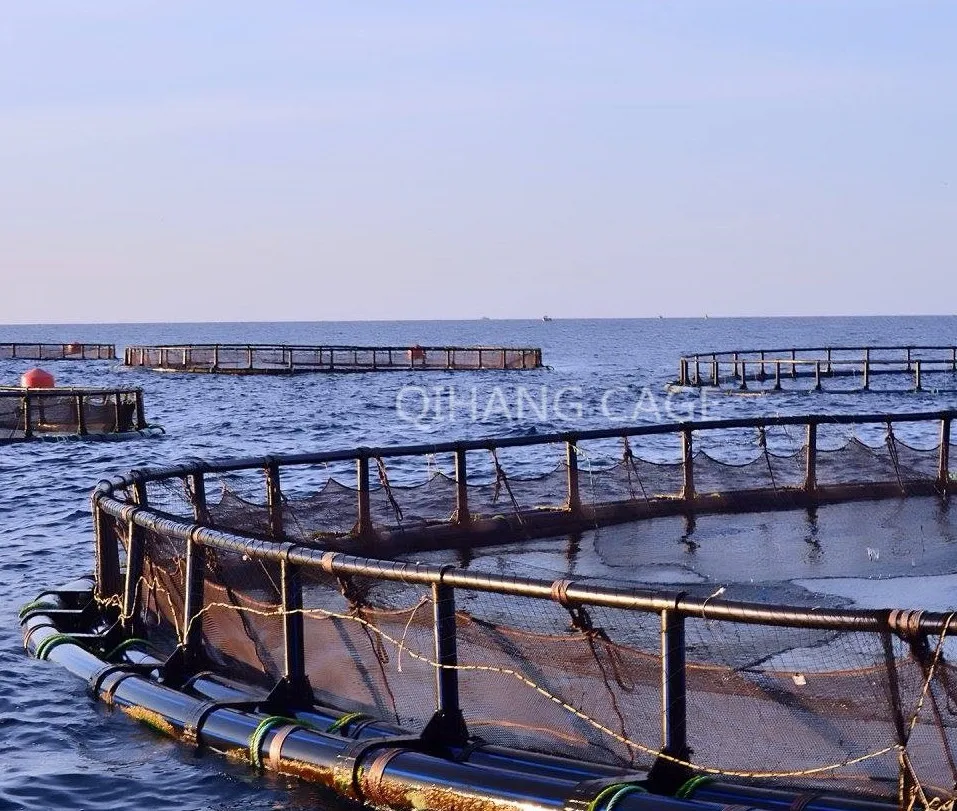 Diameter 50m Floating Fish Cage For Tuna,Sea Farming Cage - Buy Tuna ...