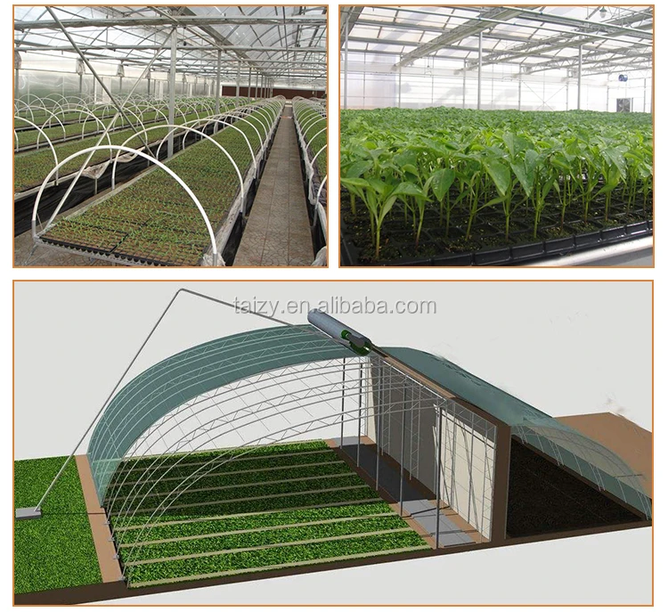 Automatic Seed Planting Machine - Efficient Nursery Seeding