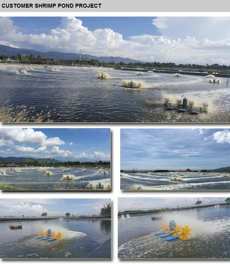 2hp Motor for Paddlewheel Aerator - Durable & Efficient