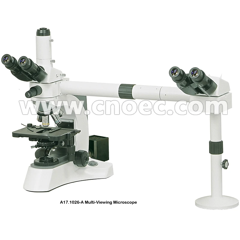 Opto-edu A17.1026-a 2 Head Multi Viewing Microscope/ Dual Viewing Microscope - Buy Dual Viewing ...