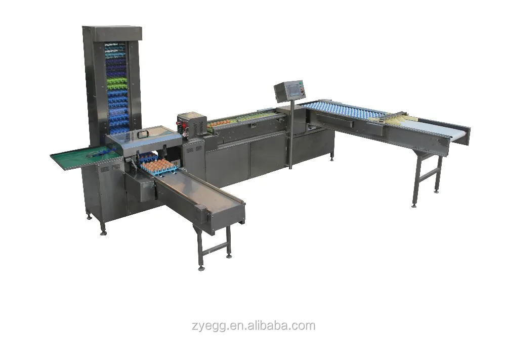 Efficient Automatic Egg Farm Packer Egg Packaging Machine - Buy Egg ...