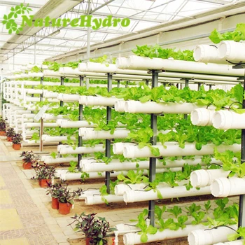 High-tech Agriculture Hydroponic Vegetable Farming - Buy Hydroponic ...