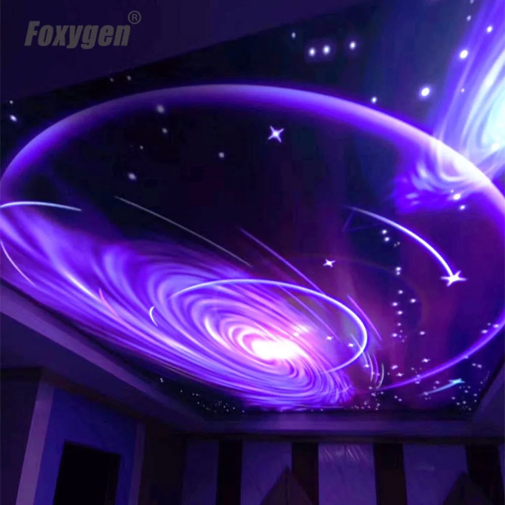 Premium Oem Factories Commercial Integrated Fiber Optic Staryy Sky ...