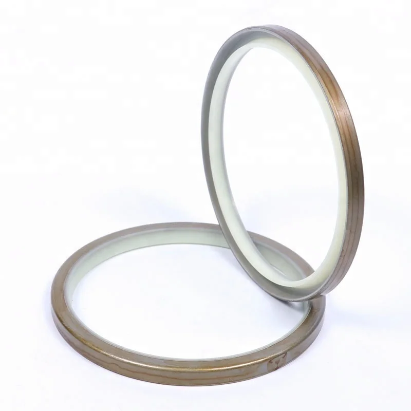 DLI Pin Dust Seal Wiper Seal DLI Oil Seal Customize Sizes