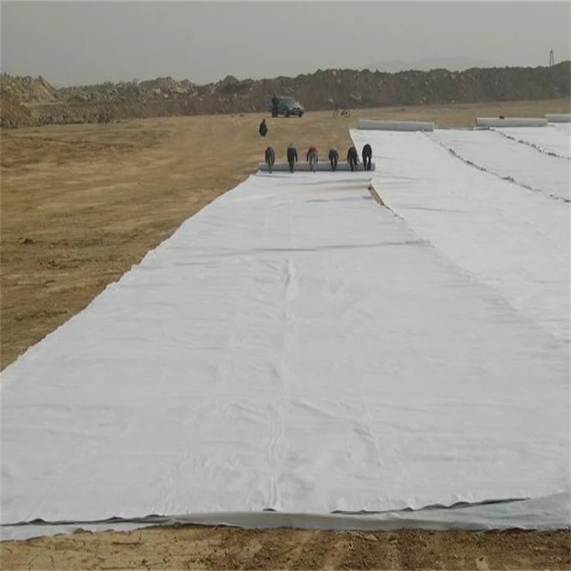 500g/m2 Bidim Geotextile with Dimpled Membrane for Construction ...