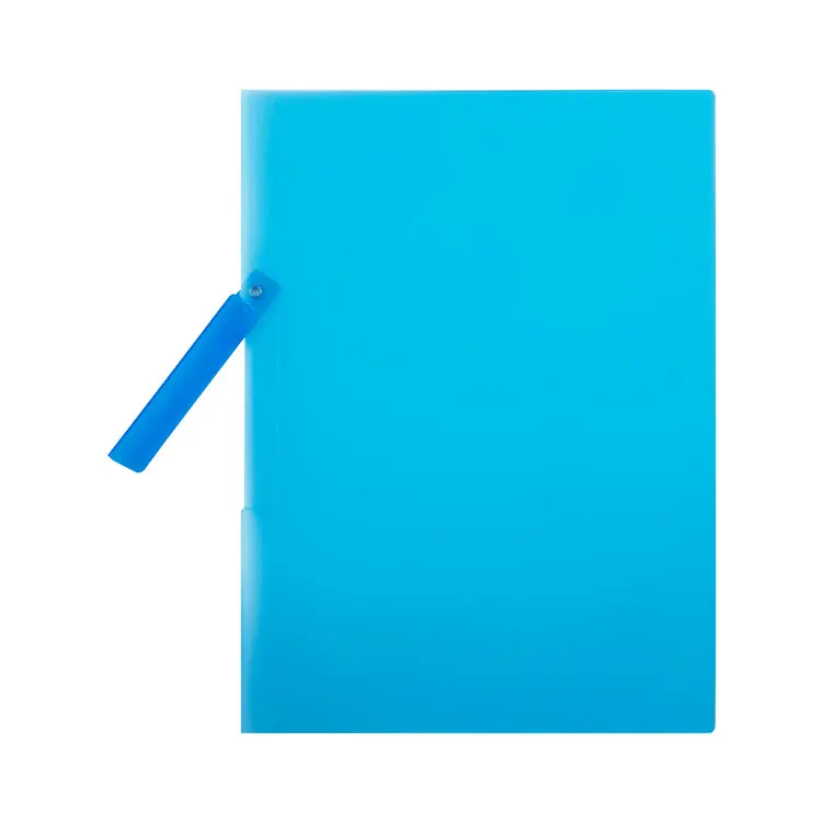 A4 Translucent Plastic PP Clip File Folder with Swing Clip