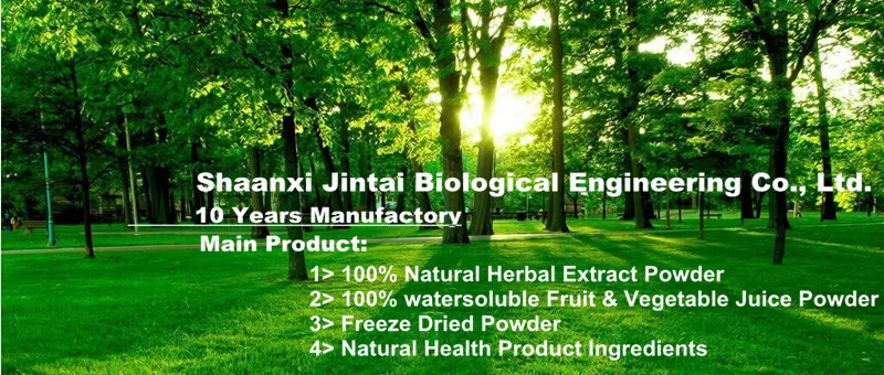 Rosa Roxburghii Fruit Extract Powder - 5% VC for Health