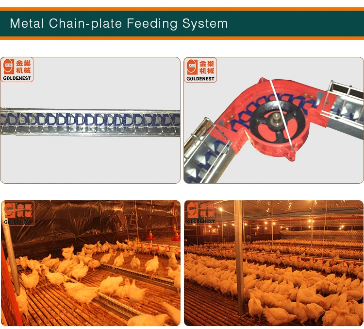 China Breeder Automatic Chain Feeding System Manufacturers and ...