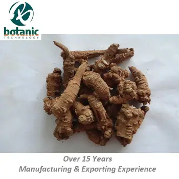 Dried Notoginseng Root Panax Notoginseng Panax Pseudoginseng Anthriscus ...