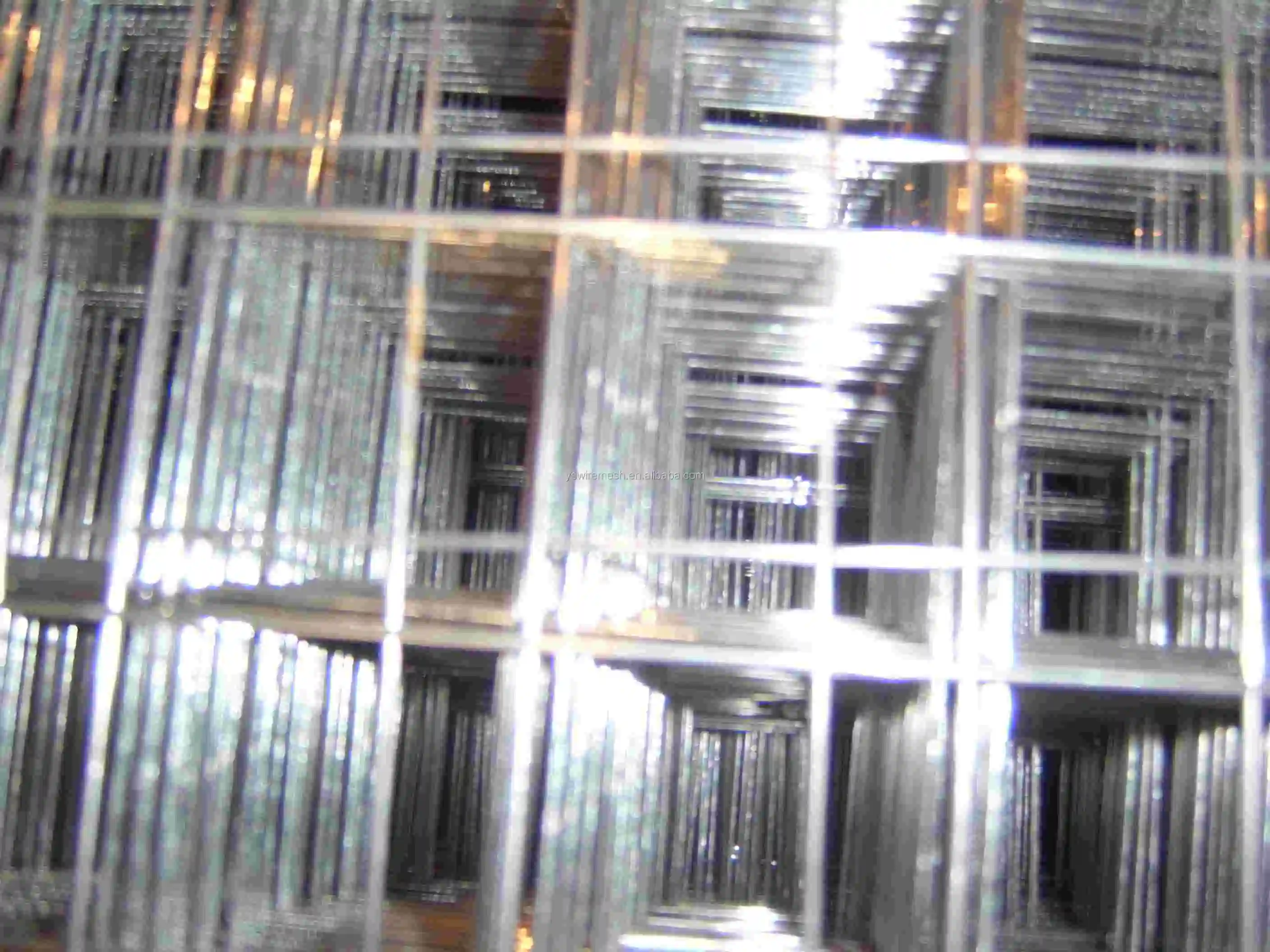 Farm Fence 1X2 Steel Welded Wire Mesh Panel for Bird Cage Cattle Fence