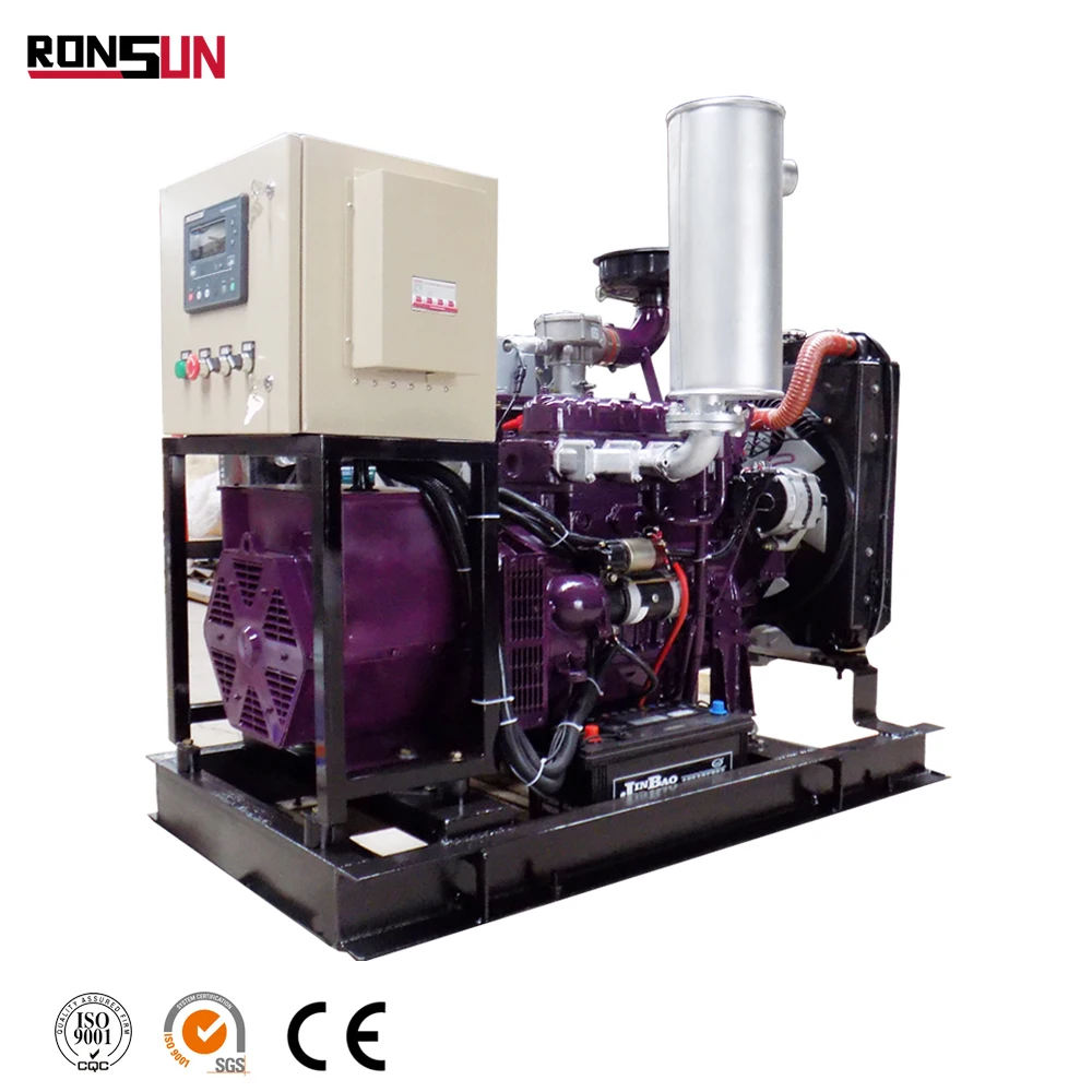 Small Electric Biogas Engine Generator Price List for Biogas Plant ...