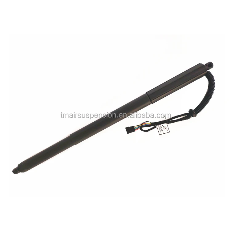 OEM 51247232003 51247232004 for X3 F25 Power Liftgate Kits