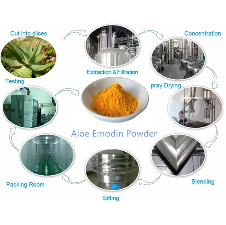 100% Pure Natural Aloe Emodin Supplement Powder For Anti-tumor - Buy ...
