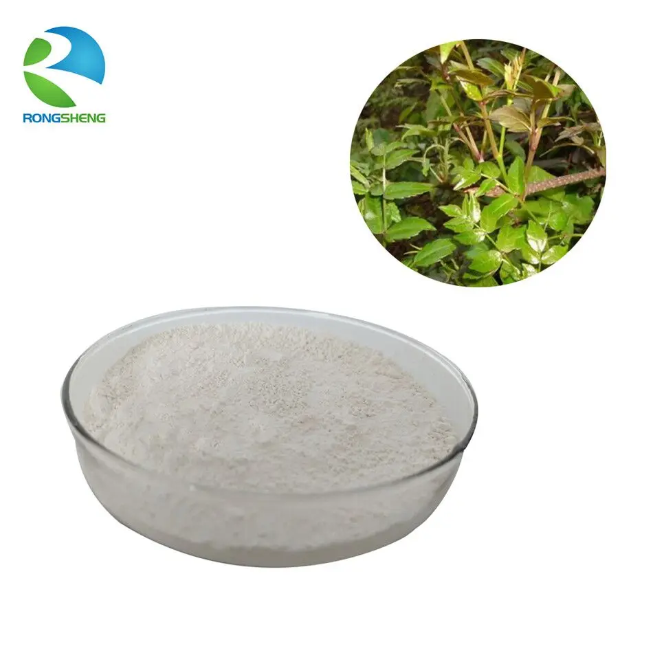 Best Quality Pure Hovenia Dulcis Ampelopsin Hangover Vine Tea Extract ...