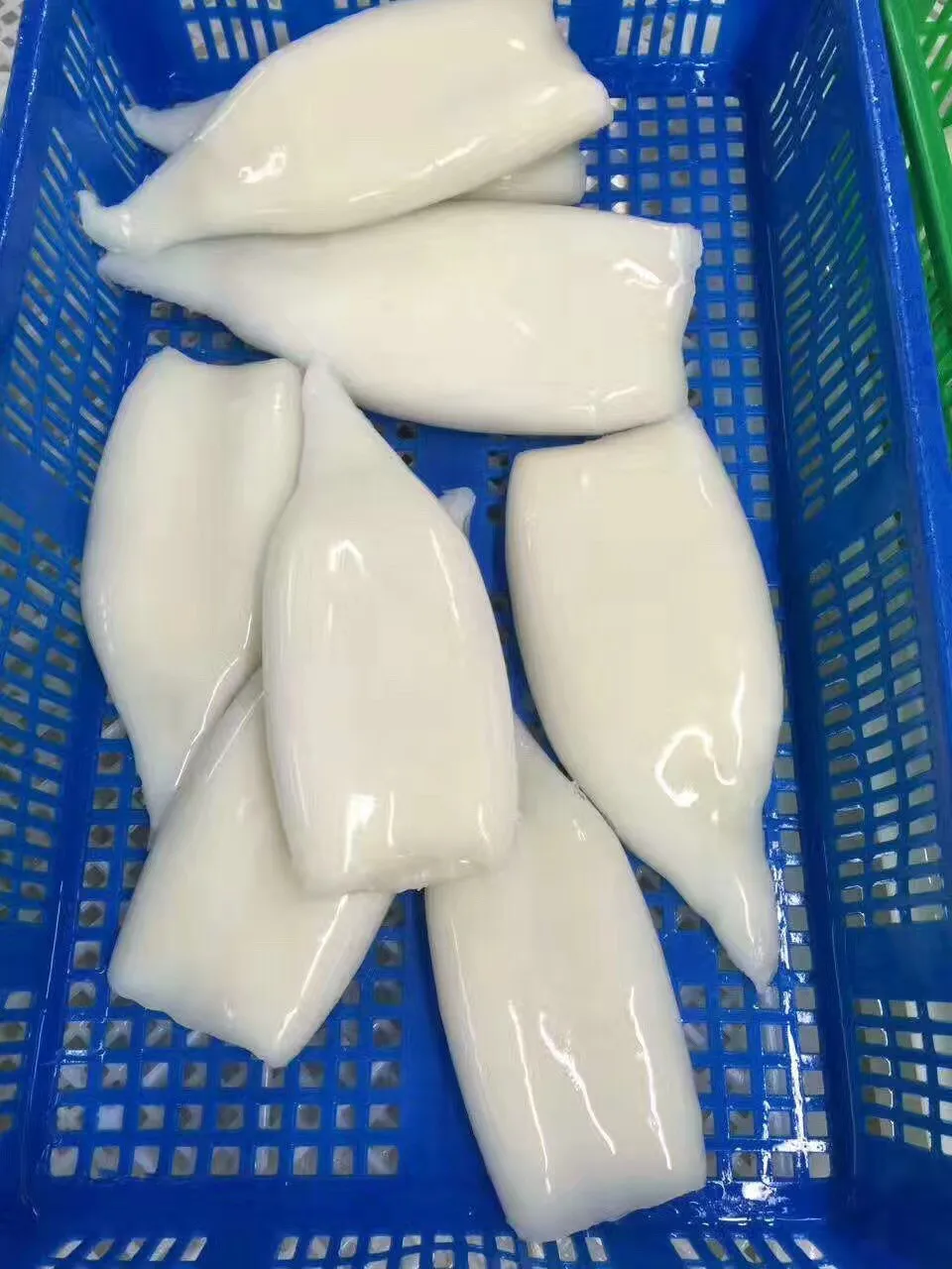 U7,U10,U15 Sea Frozen Squid Tube Wholesale - Buy Squid Tube U10,Squid ...