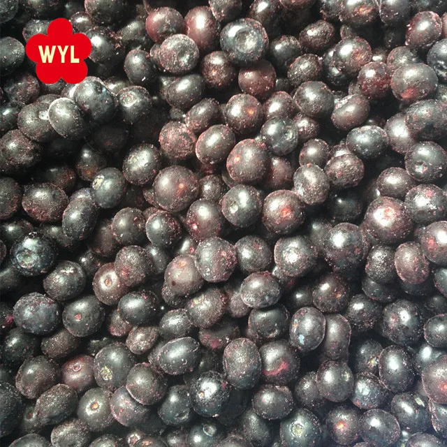 Iqf Frozen Blueberries For Wholesale - Buy Iqf Frozen Bluberries With ...