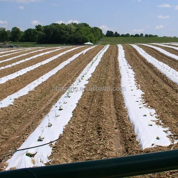 100% Biodegradable White Plastic Mulch Film,Clear Plastic Film For ...