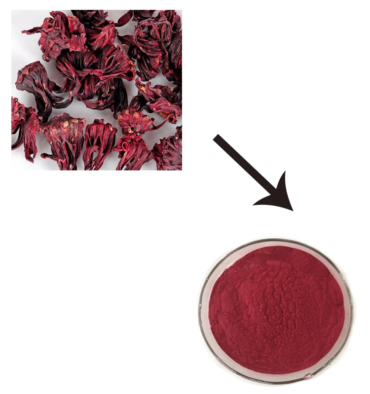 Inventory Hibiscus Roselle Powder Roselle Extract Roselle Extract ...
