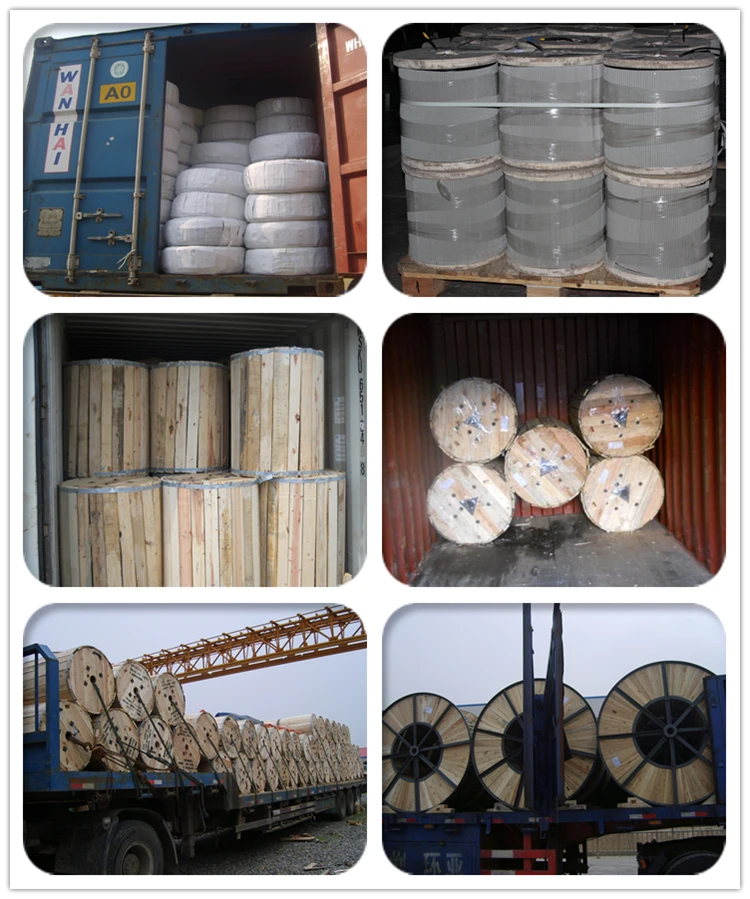 Aac Centipede /aac Centipede Conductor - Buy Aac Conductor,Aac ...