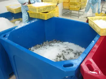 Insulated Fish Container - Buy Insulated Fish Container Product on ...