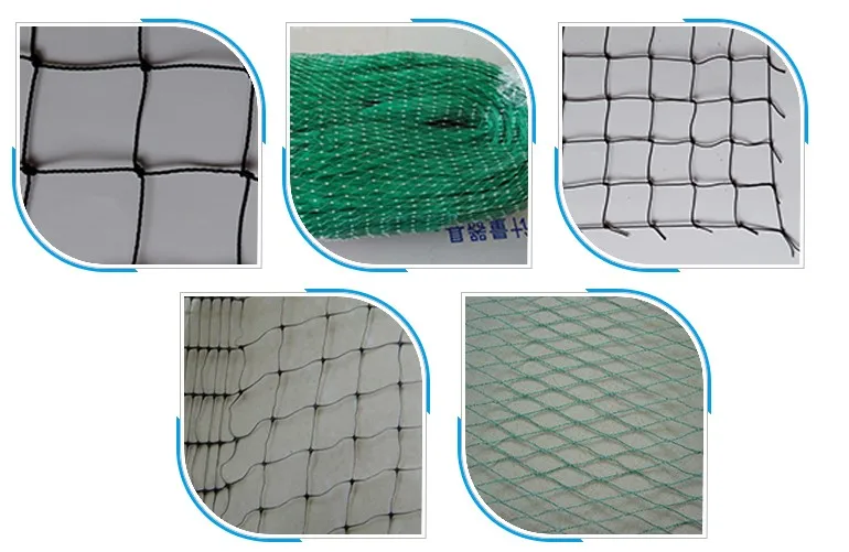 Obtain High Comments Anti-bird Netting/insect Netting For Rice Field ...