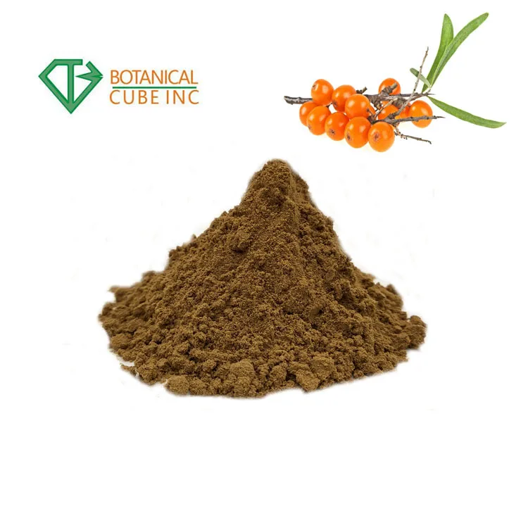 Pure Harpagophytum Procumbens Harpagoside 2% Extract Powder