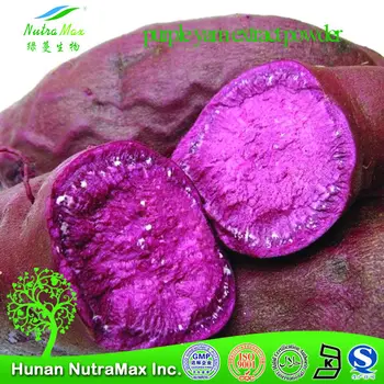 100% Natural Purple Yam Extract,Purple Yam Powder,Purple Yam Extract ...