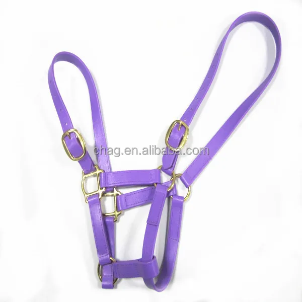 Black Pvc Headcollar With Solid Brass Fittings,For Horse And Cattle ...