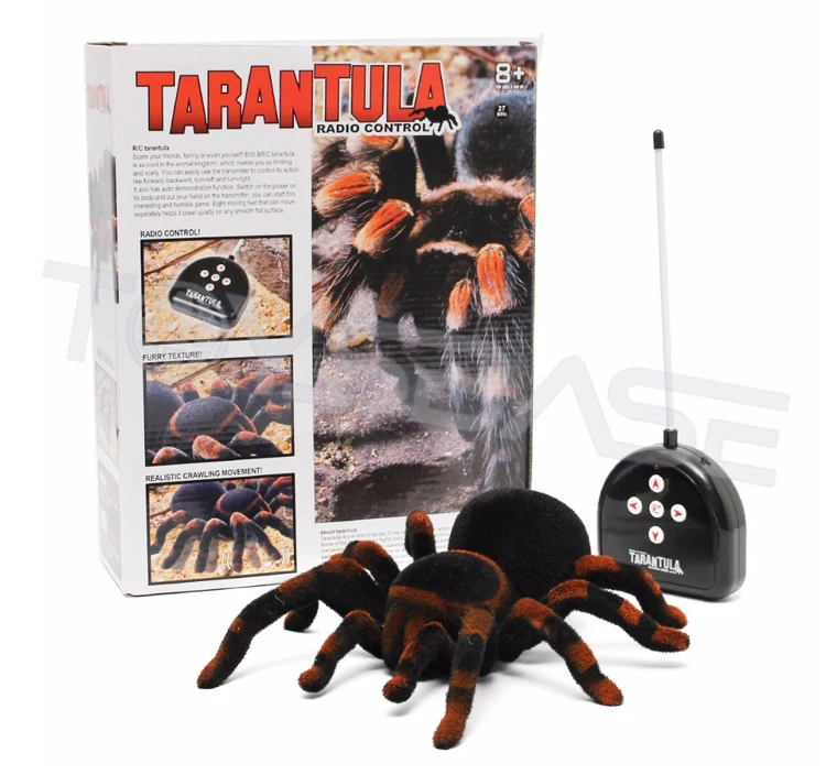 Children Park Toys Realistic Battery Operated Tarantula With Eye ...