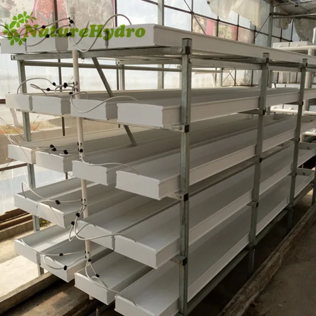 Hydroponic Fodder System/barley/oats/alfalfa Microgreen Growing System ...