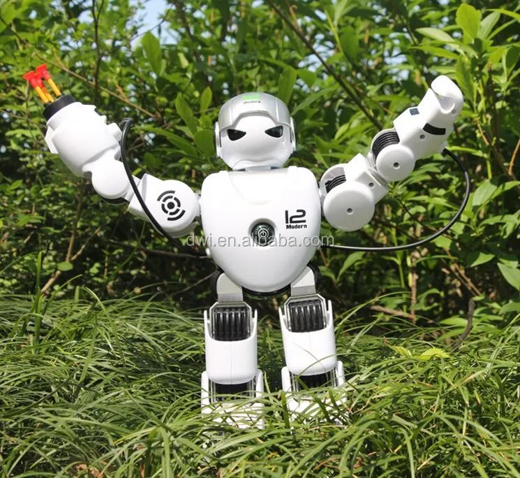 DWI K1 Intelligent Alpha RC Smart Robot - Fun & Education