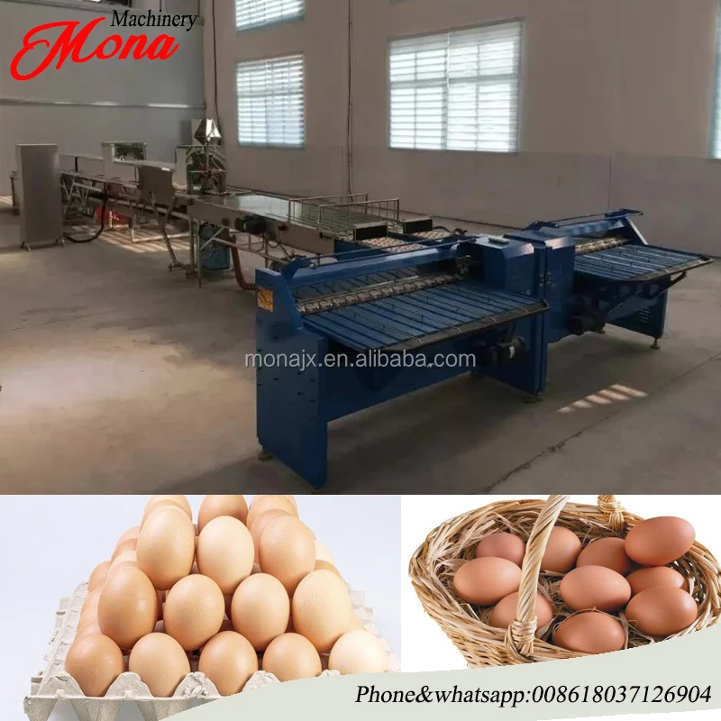 4000-10000pcs/h Automatic Hen Egg Grading System/egg Grader With Vacuum ...