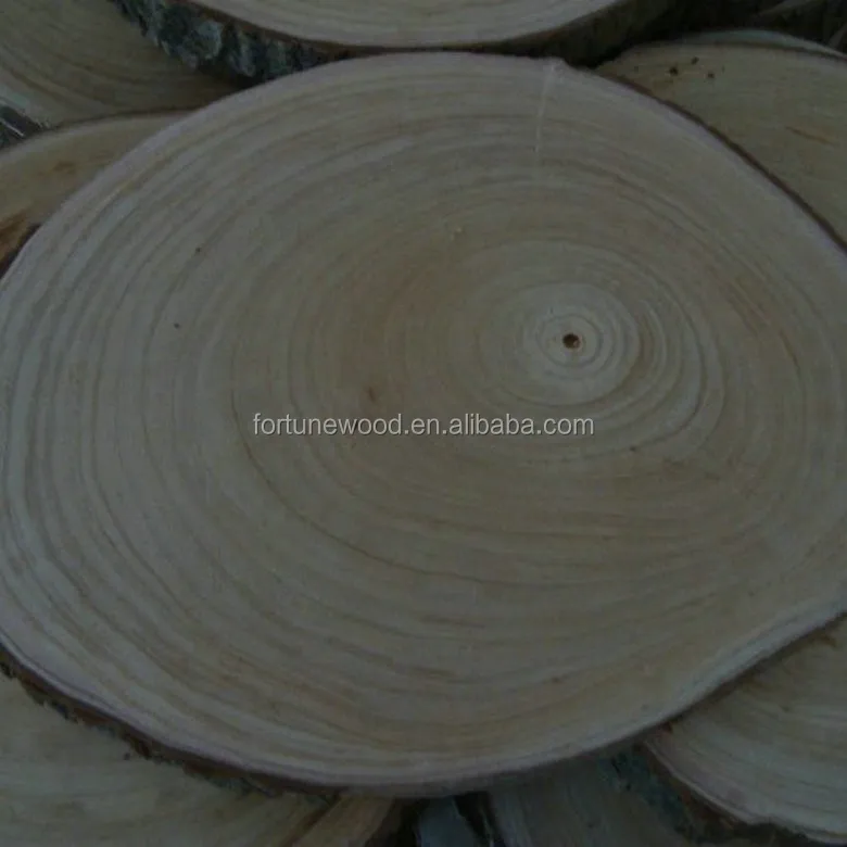 Pao Tong Log Cut Paulownia Trunk Slices for Decoration