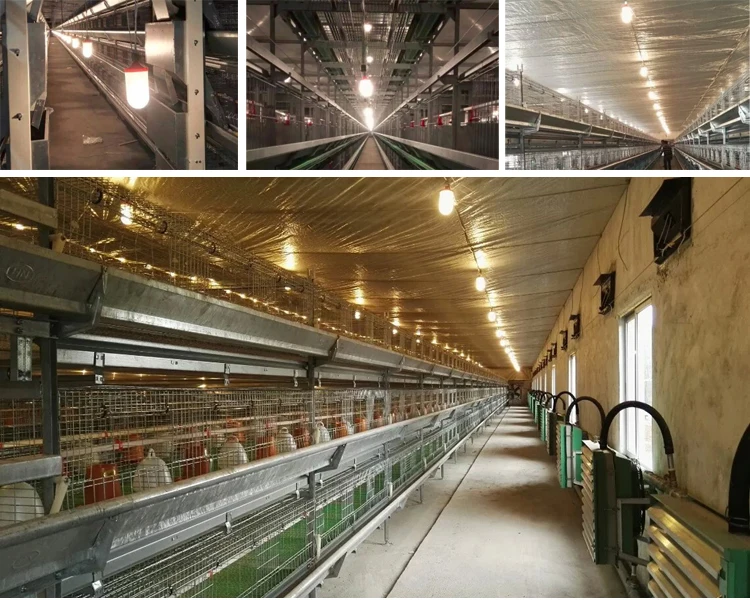 Dc48v 10w Dimmable Waterproof Layer Broiler Cage Chicken Led Light ...