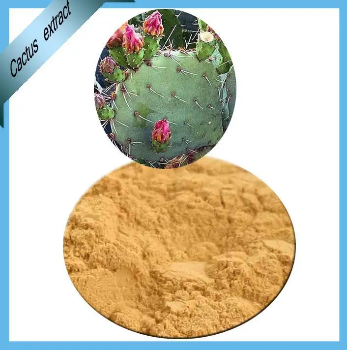 Natural Herb Medicine Cactus Plant Extract /nopal Extract Powder Cactus ...